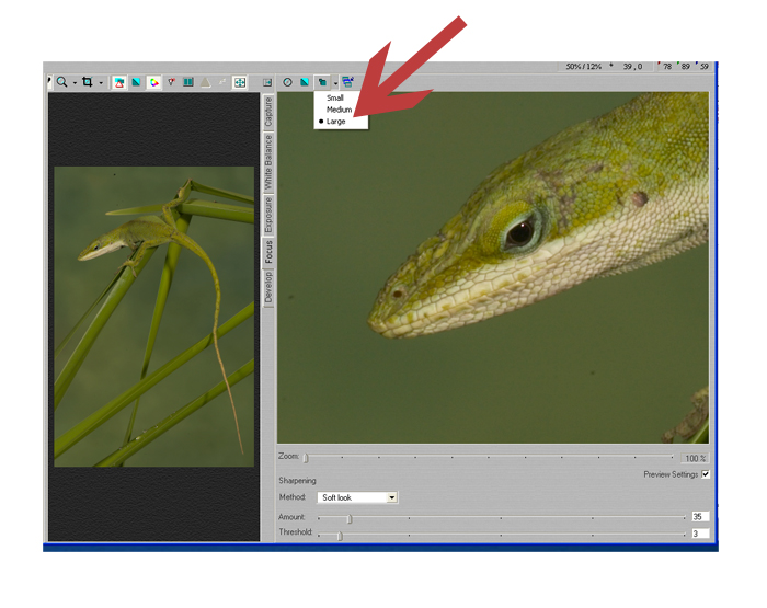 Editing in Capture One RAW Conversion Program